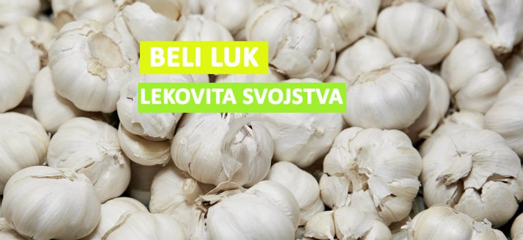 Brekinja – "prirodni insulin" lekovita svojstva biljke i upotreba