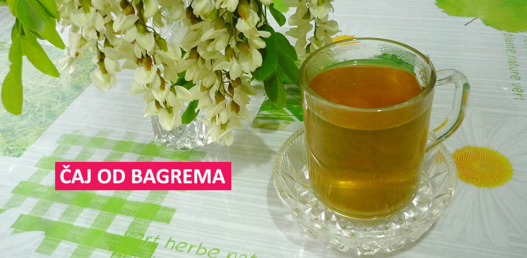 Bagremov med lekovitost, karakteristike i recepti