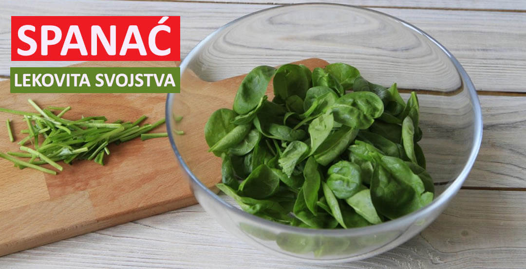 Spanać za zdravlje: cena, recepti, priprema i lekovita svojstva 🥫