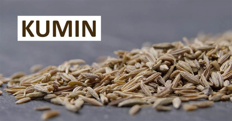 Kumin začin - cena, upotreba i lekovita svojstva